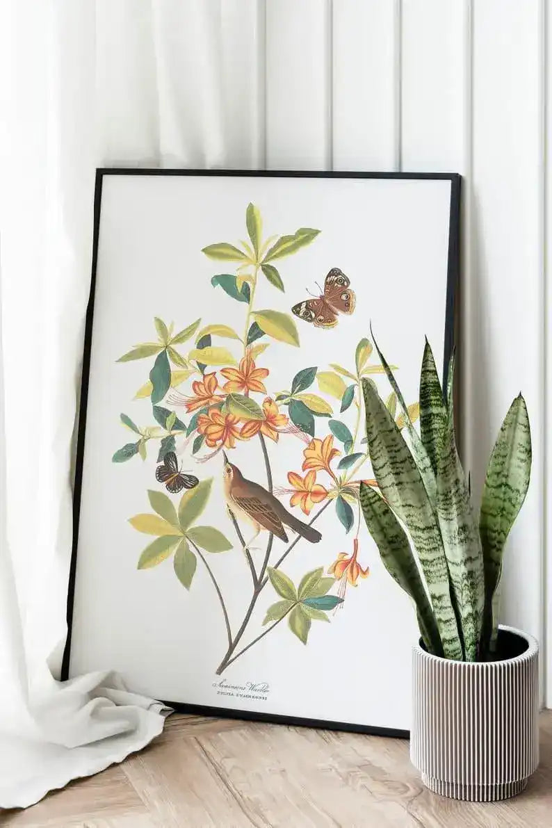Vintage Bird Art Prints| Bird Poster - Maia Homes – MAIA HOMES