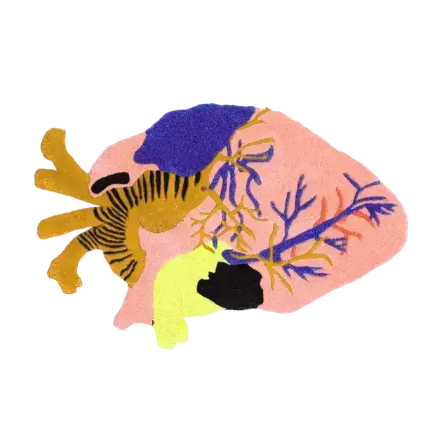 Anatomical Heart Shaped Wool Rug - Peach – MAIA HOMES