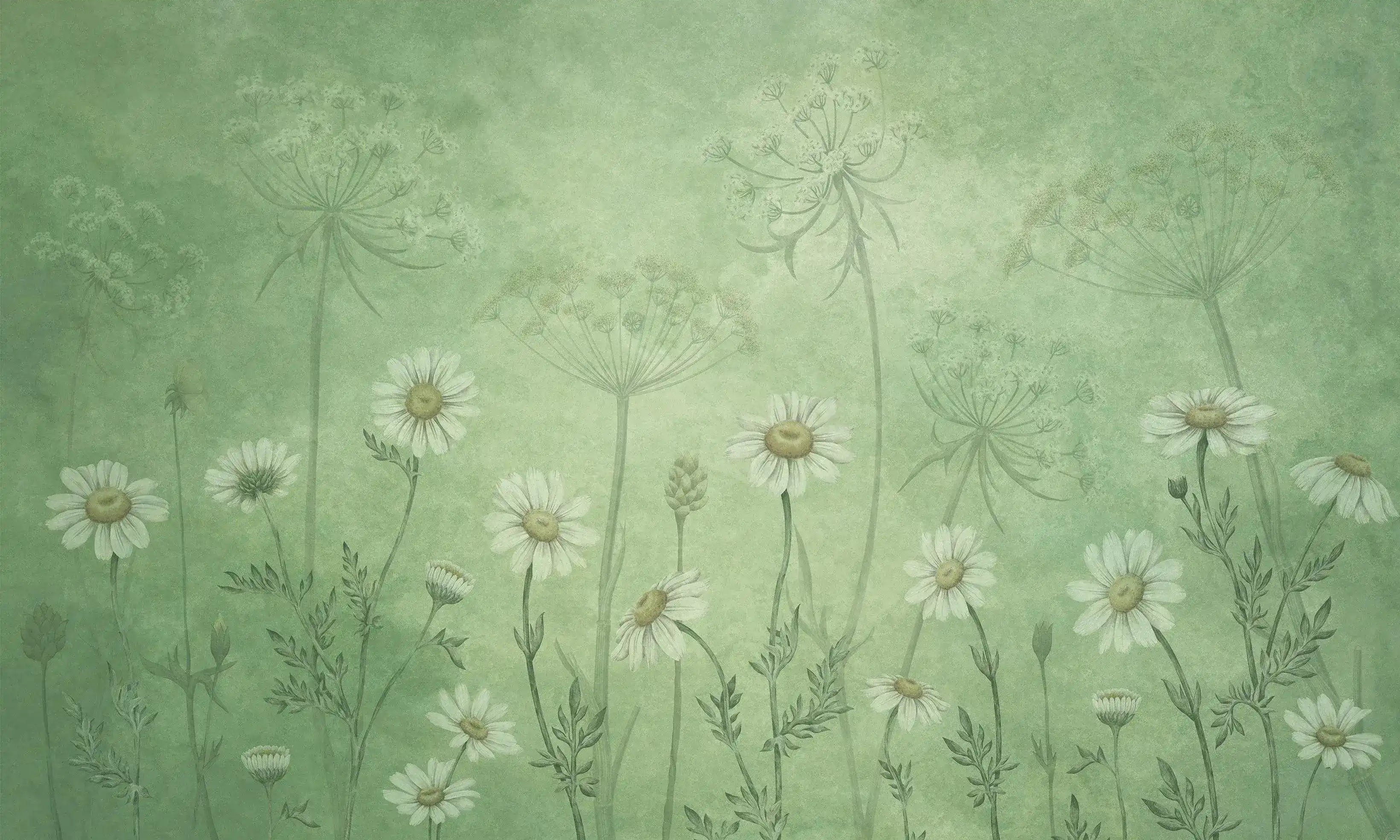 Dazzling Daisies - Green Wallpaper Mural – MAIA HOMES