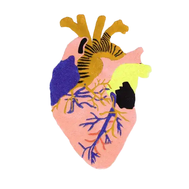 Anatomical Heart Shaped Wool Rug - Peach – MAIA HOMES