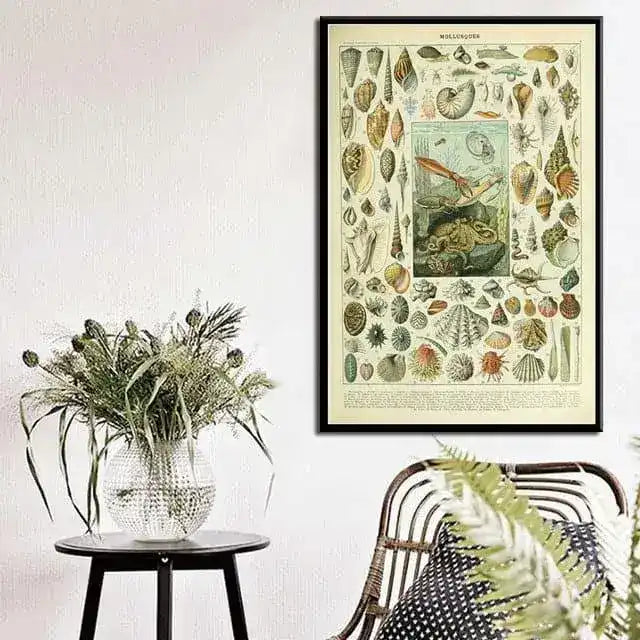 Vintage Ocean Sea Shell Life Wall Chart Poster Print | Maia Homes ...